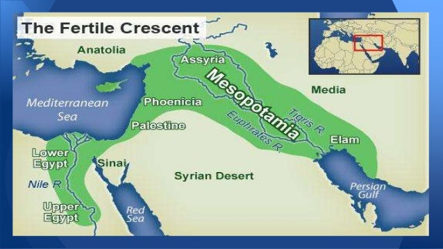 Fertile crescent
