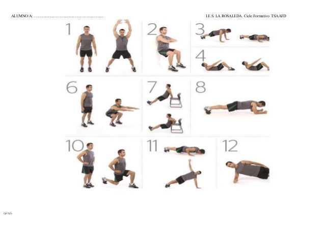 Ficha Circuito Training Fuerza