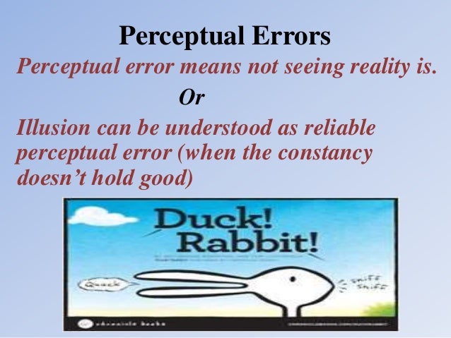 Perceptual Errors