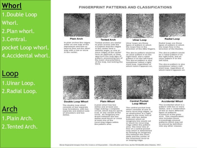 Fingerprint Presentation Fingerprint Presentation