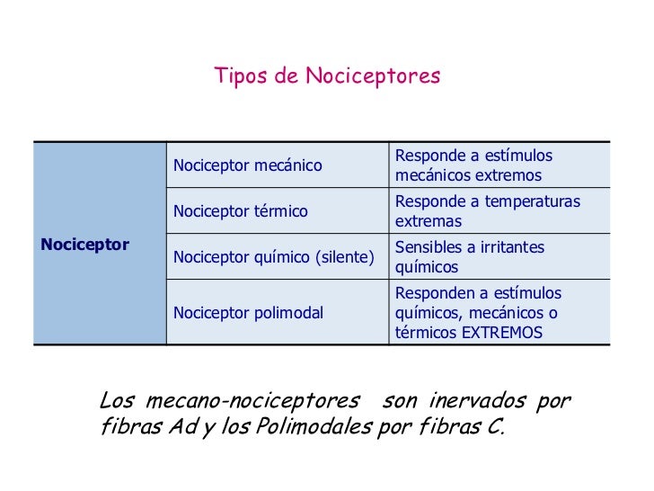 Fisiologia Sensorial