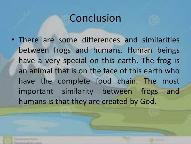 Frog vs human