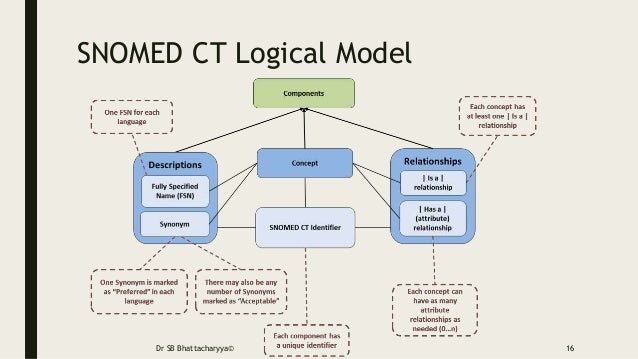 Fundamentals of snomed ct