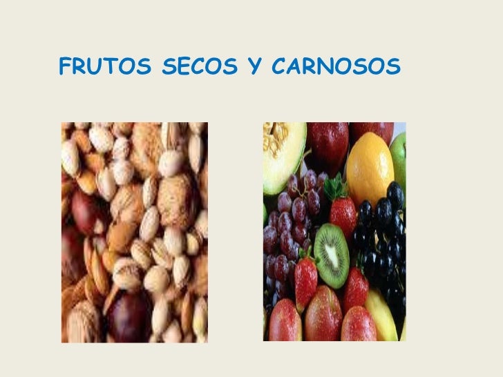 Frutos secos y carnosos - Imagui
