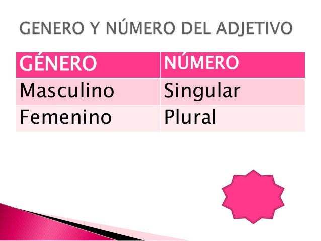 Genero y número del adjetivo
