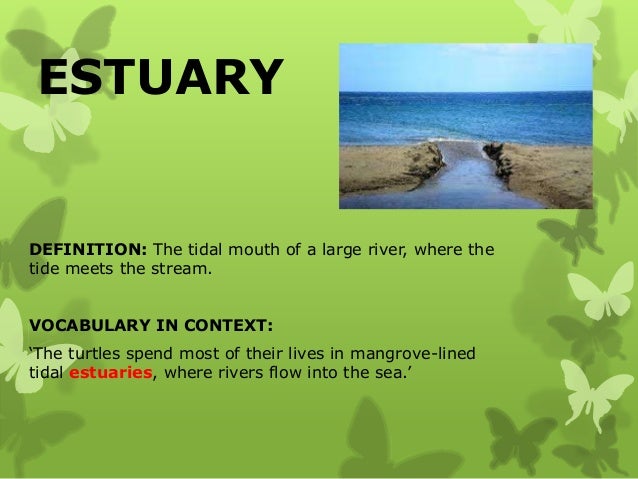 Geographical features