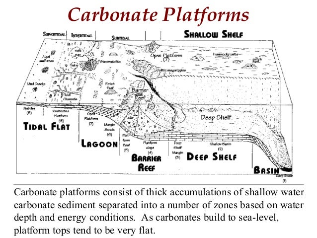 Carbonate Depositional Systems