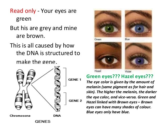 Getting Into Genes Slideshare Copy