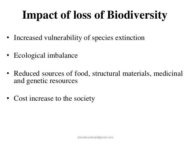 Global diversity patterns and loss of biodiversity