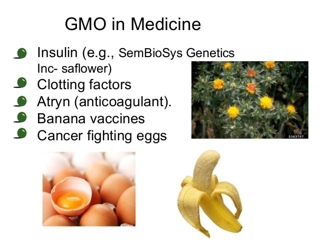 GMOs