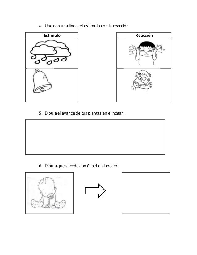 Guia de sintesis unidad 1 necesidades de los seres vivos. 1º Básico Guia de sintesis unidad 1 necesidades de los seres vivos. 1º Básico