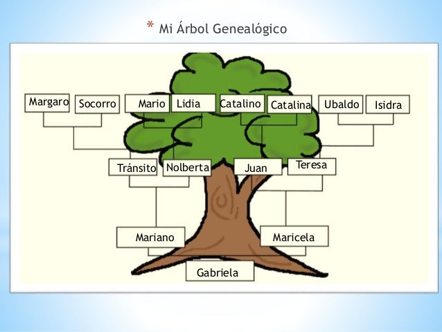 Un arbol genealogico en inglés y español - Imagui