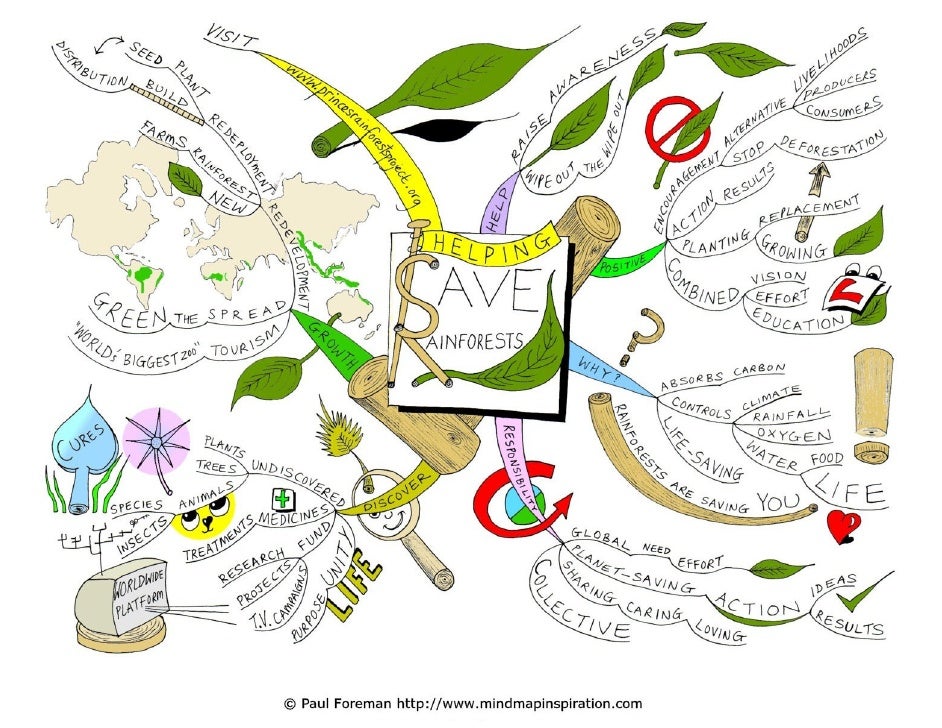 Helping Save Rainforests Mind Map