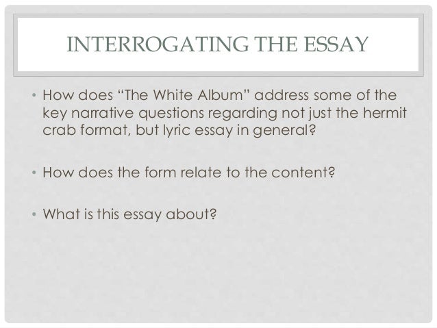 Hermit Crab Essay