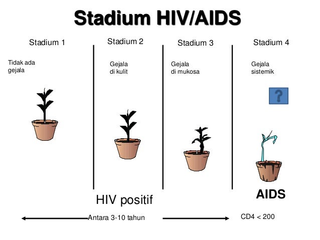Hiv dan aids review zul