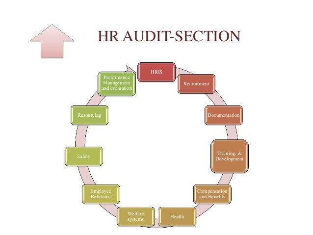 Hr Audit Case Study Ppt Druggreport809 web fc2 Hr Audit Case Study Ppt Druggreport809 web fc2