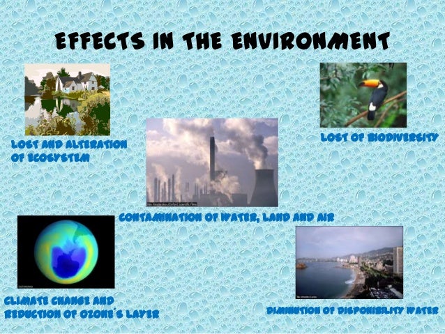 Human impact in the environment