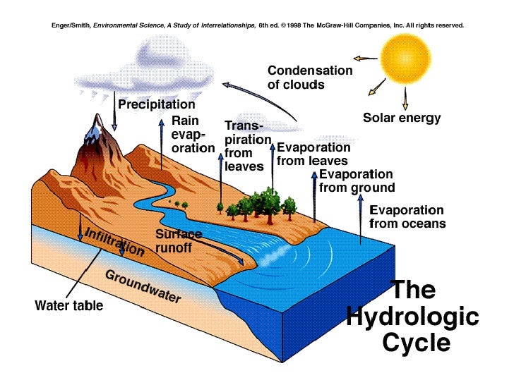 Hydrologic Cycle