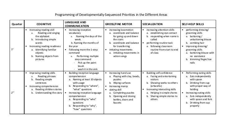 sample-iep