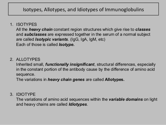 Immunoglobulins- Explained