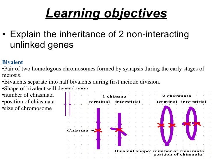 Interactions Between Unlinked Genes 7 