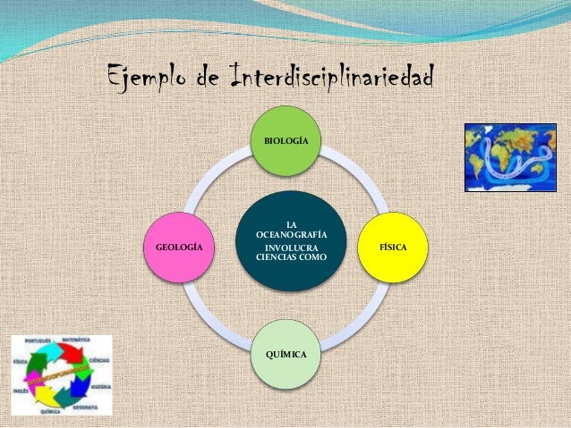 Interdisciplinariedad
