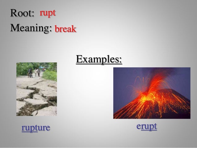 Introduce prefixes suffixes roots affixes power point
