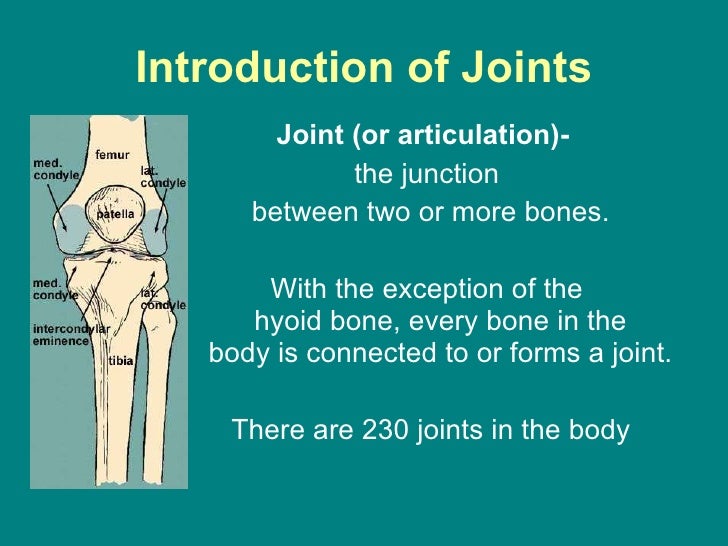 Joints powerpoint Joints powerpoint