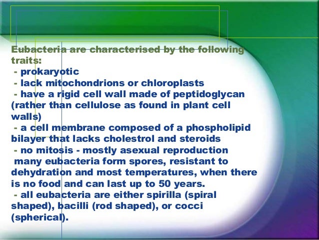 Eubacterial Cell Chapter 10: Bacteria And Viruses 7th Grade