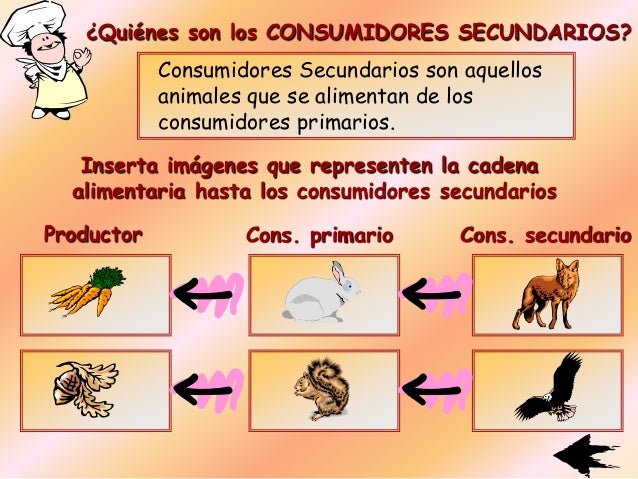 La cadena alimentaria