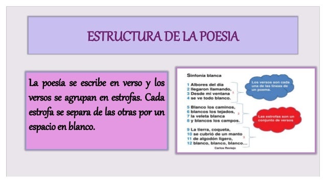 La poesia y sus elementos