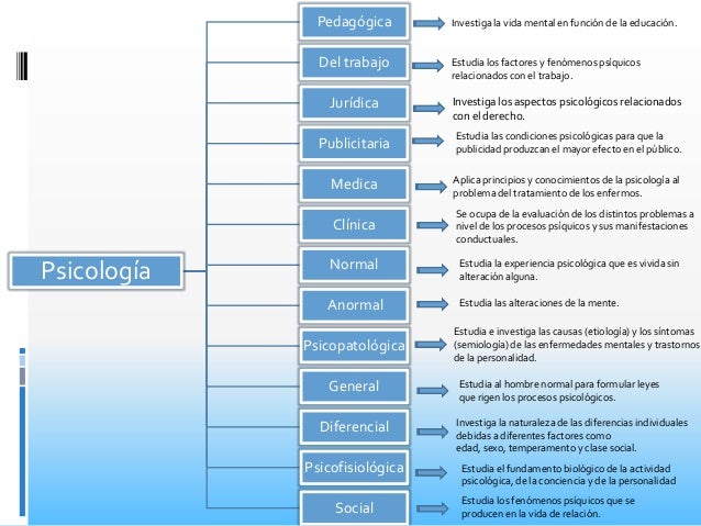 PSICOLOGIA: ramas de la psicologia