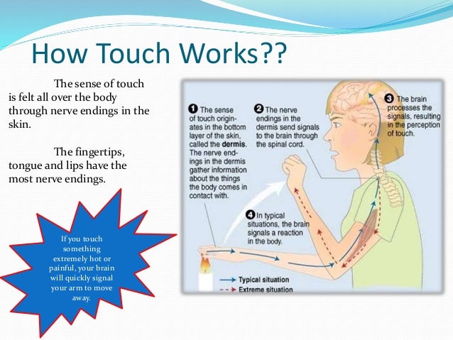 Las americas institute of technology