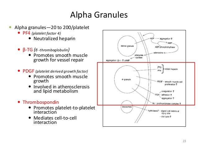Lecture 1, fall 2014