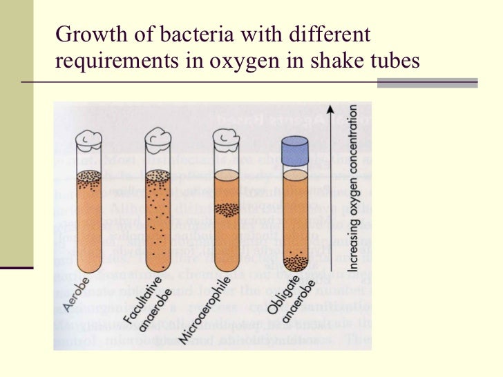 Bohomolets Microbiology Lecture #3