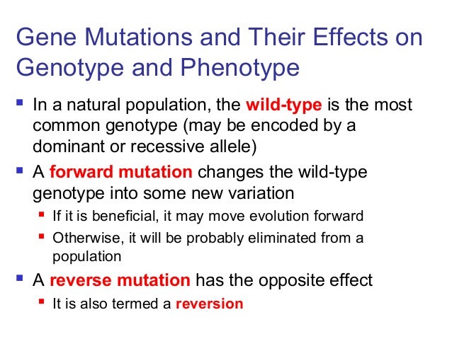 Lecture 4 Gene Mutation Ppt
