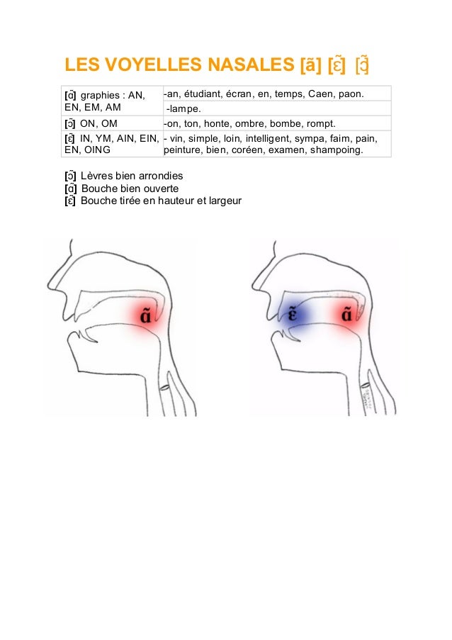 Les voyelles nasales