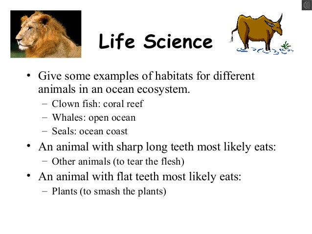 Life Science Animals