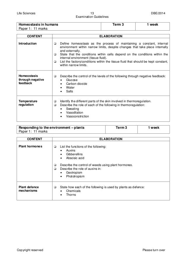 Essay Of Grade 11 Life Sciences Final Exam 2014 Ebook Essay Of Grade 11 Life Sciences Final Exam 2014 Ebook