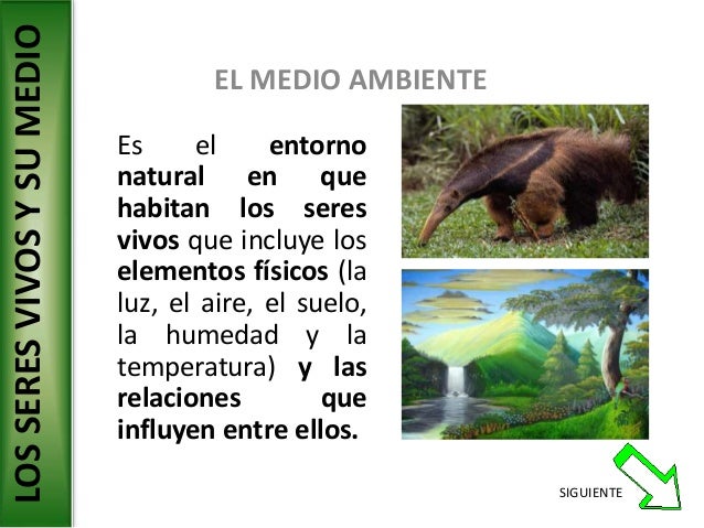El Medio Ambiente Y La Relacin Con Los Seres Vivos By El Medio