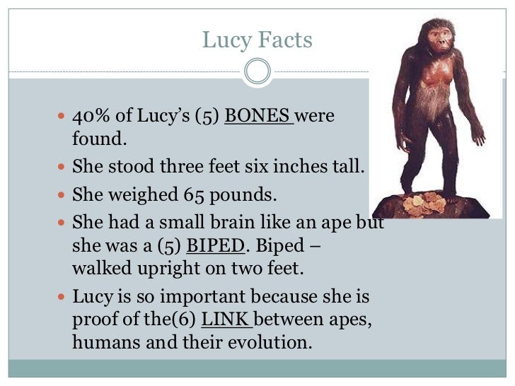 Lucy Presentation Lucy Presentation