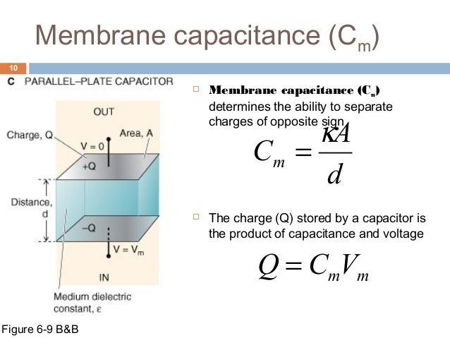 Ionic Equilibria and Membrane Potential
