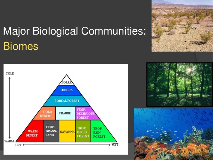 Major Biological Communities major-biological-communities