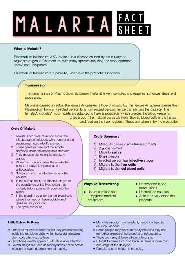 OCR AS Biology Fact Sheets: Malaria OCR AS Biology Fact Sheets: Malaria