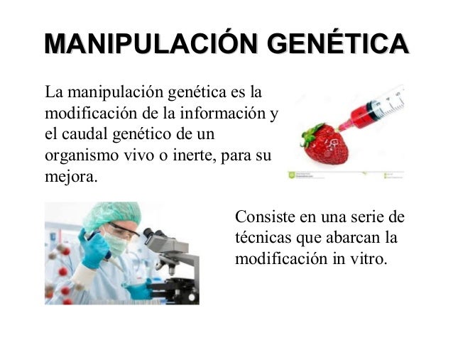 Manipulacion genetica