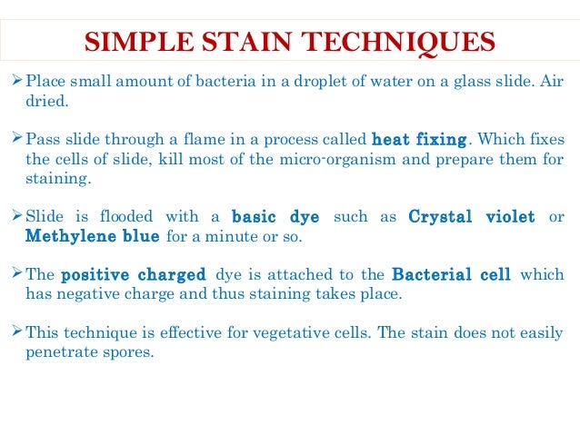 STAINING TECHNIQUES IN MICROBIOLOGY & CELL BIOLOGY STAINING TECHNIQUES IN MICROBIOLOGY & CELL BIOLOGY