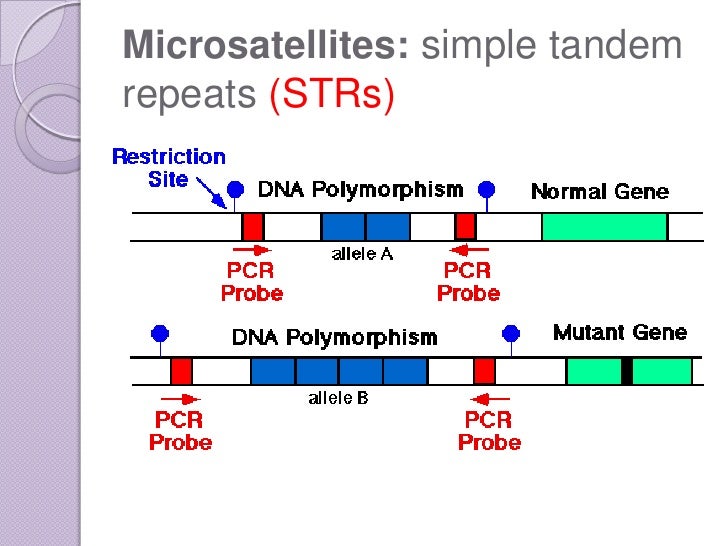 Simple Genetic Map