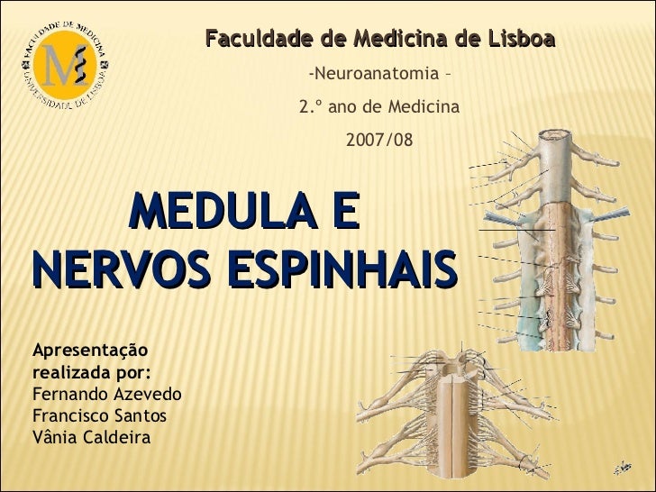 Medula e Nervos Espinhais Medula e Nervos Espinhais
