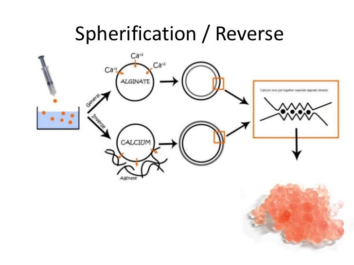 Modern cooking introduction
