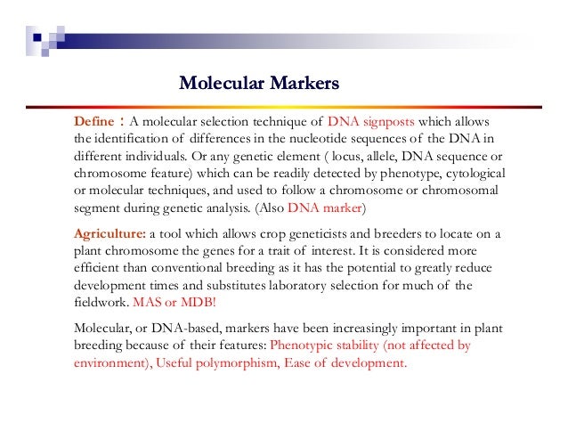 Molecular Marker And Its Application To Genome Mapping And Molecular